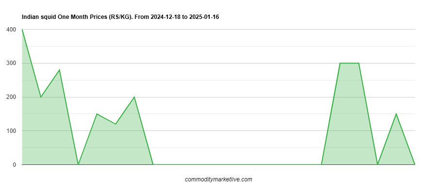 Indian Squid Fish Price Today | Fish Wholesale Price in India