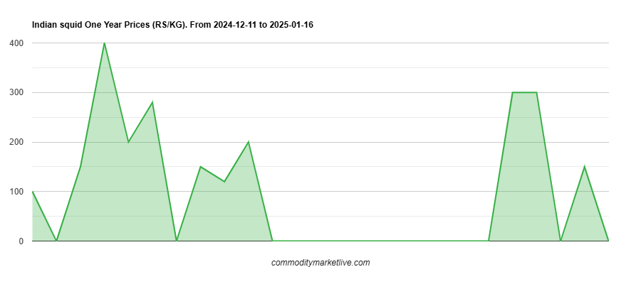 Indian Squid Fish Price Today | Fish Wholesale Price in India