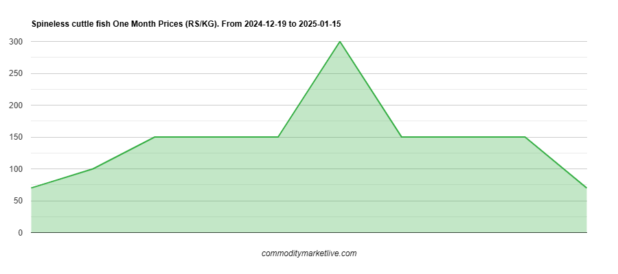 Spineless Cuttle Fish Fish Price Today | Fish Wholesale Price in India