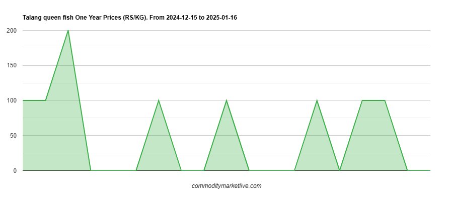Talang Queen Fish Fish Price Today | Fish Wholesale Price in India
